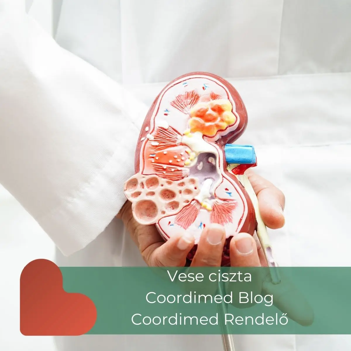 Vese ciszta - Coordimed Blog